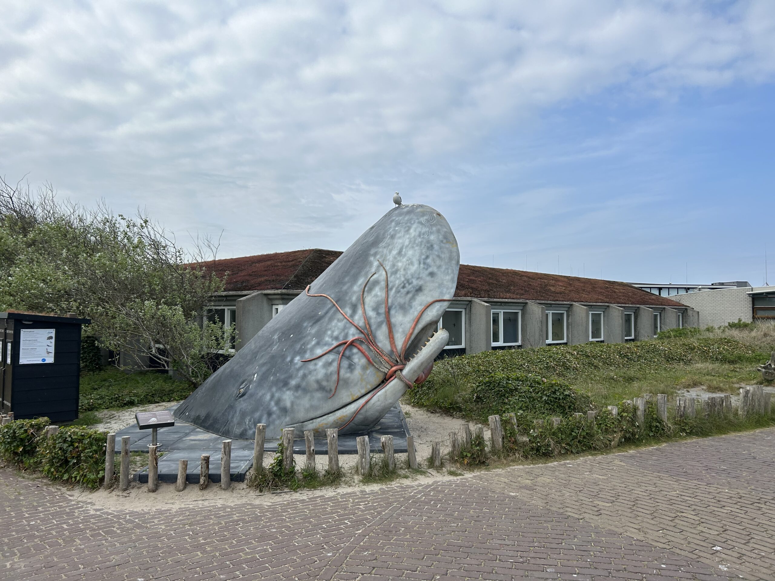 Ecomare Nature Museum, Aquarium & Sanctuary