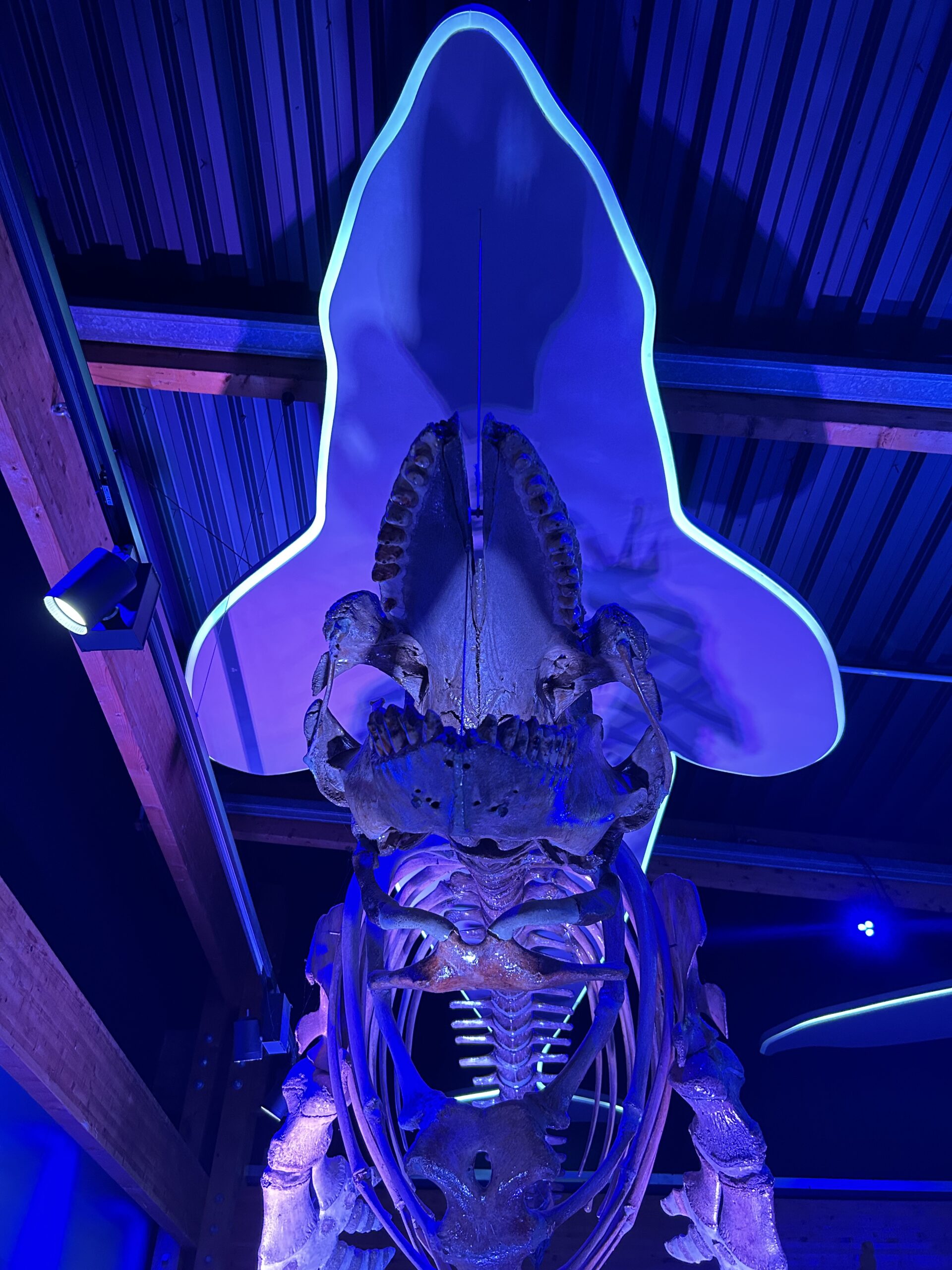 Ecomare Nature Museum, Aquarium & Sanctuary