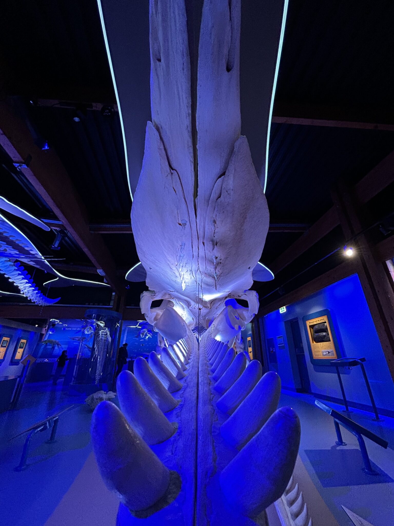 Ecomare Nature Museum, Aquarium & Sanctuary