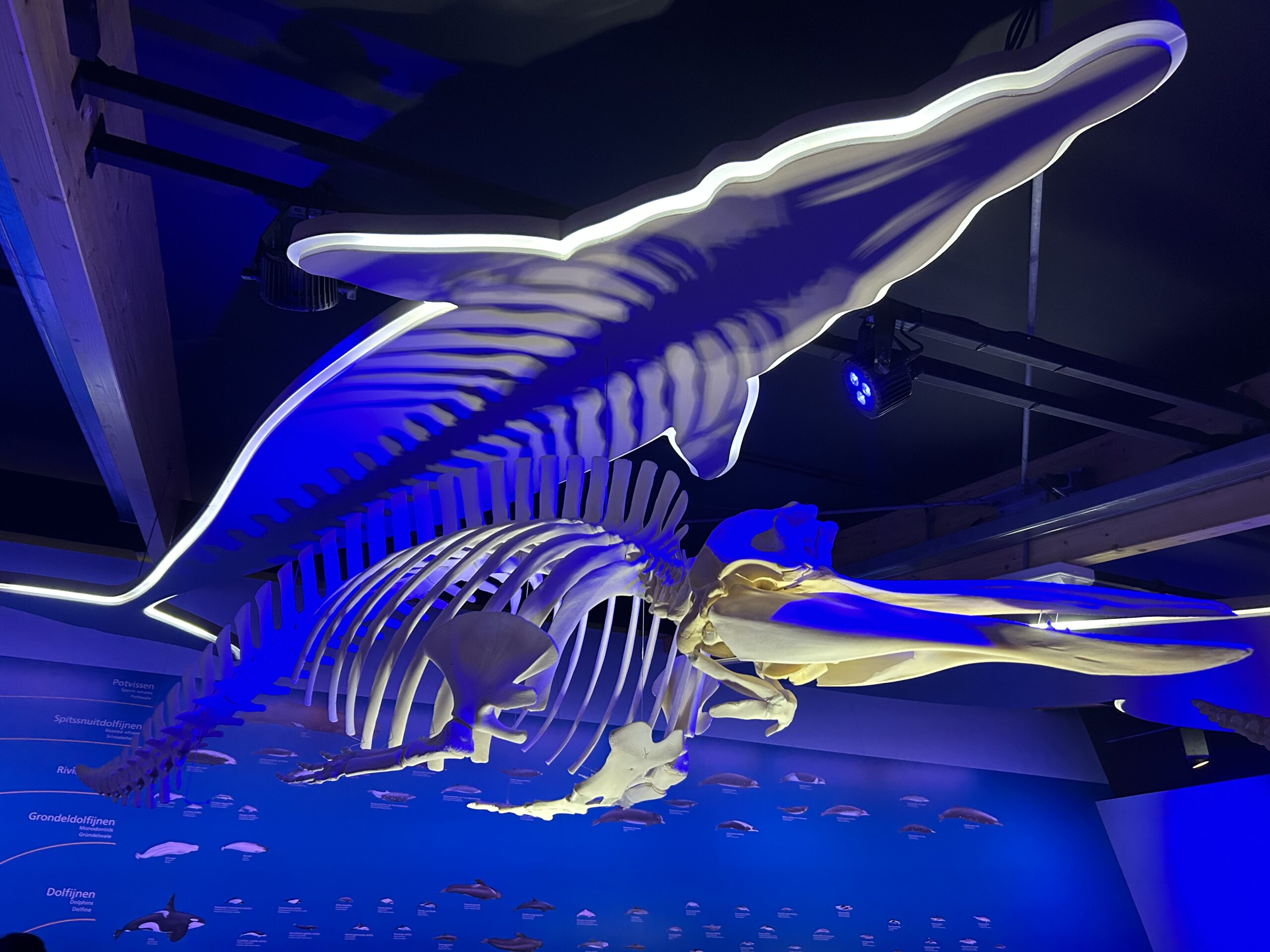 Ecomare Nature Museum, Aquarium & Sanctuary