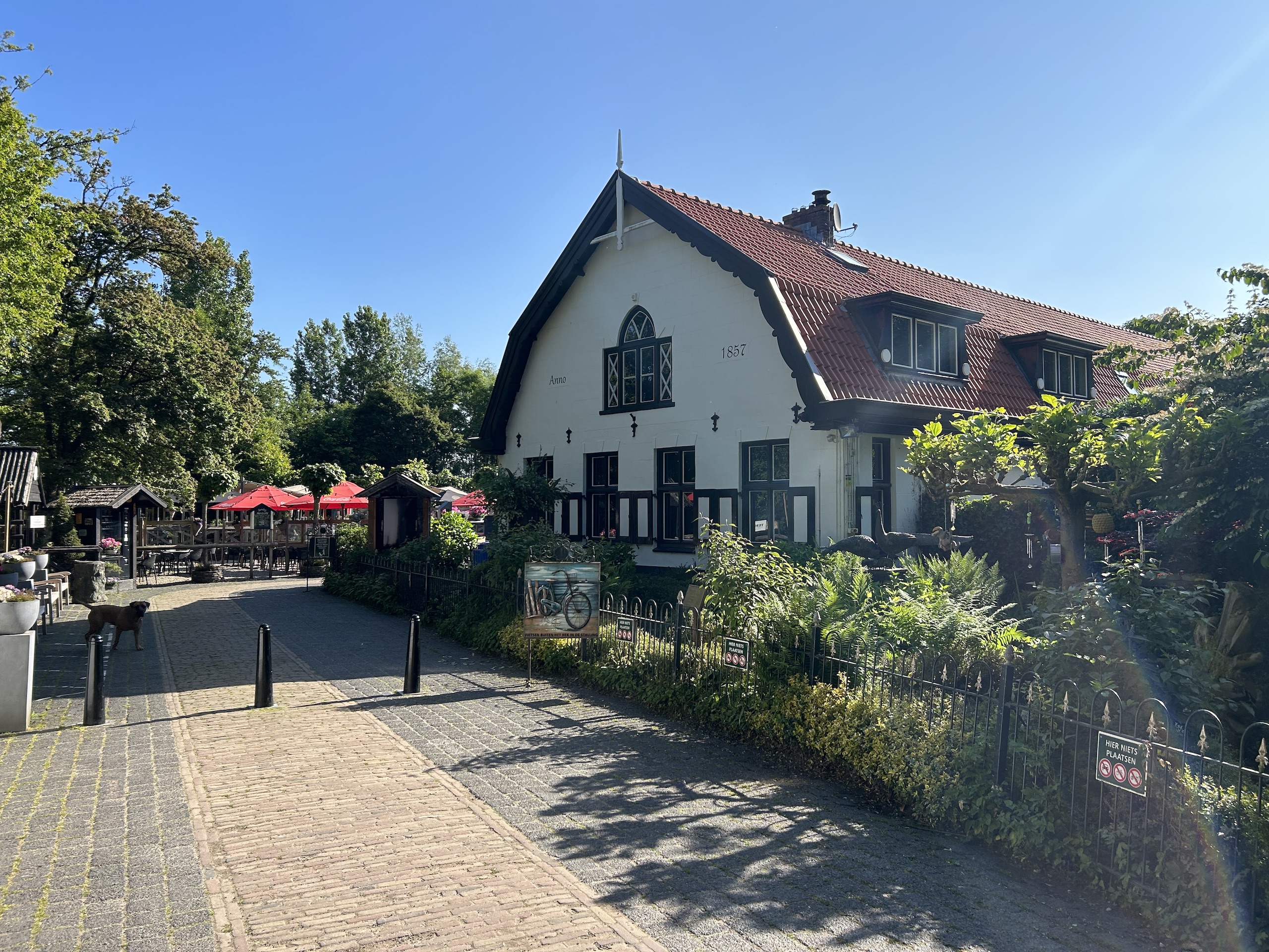 The Day we Explored the Meerzicht Polder in Amsterdamse Bos