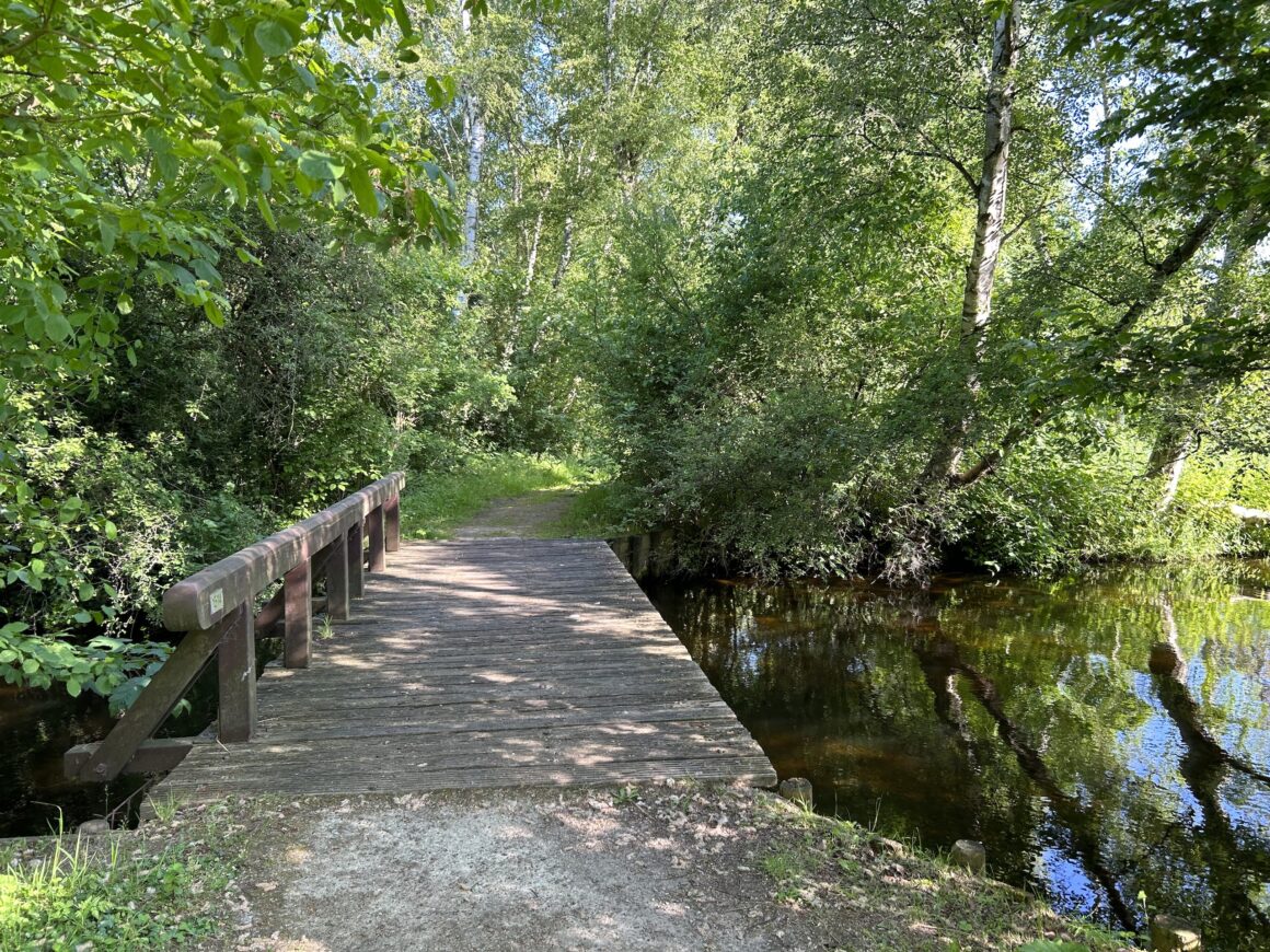 The Day we Explored the Meerzicht Polder in Amsterdamse Bos
